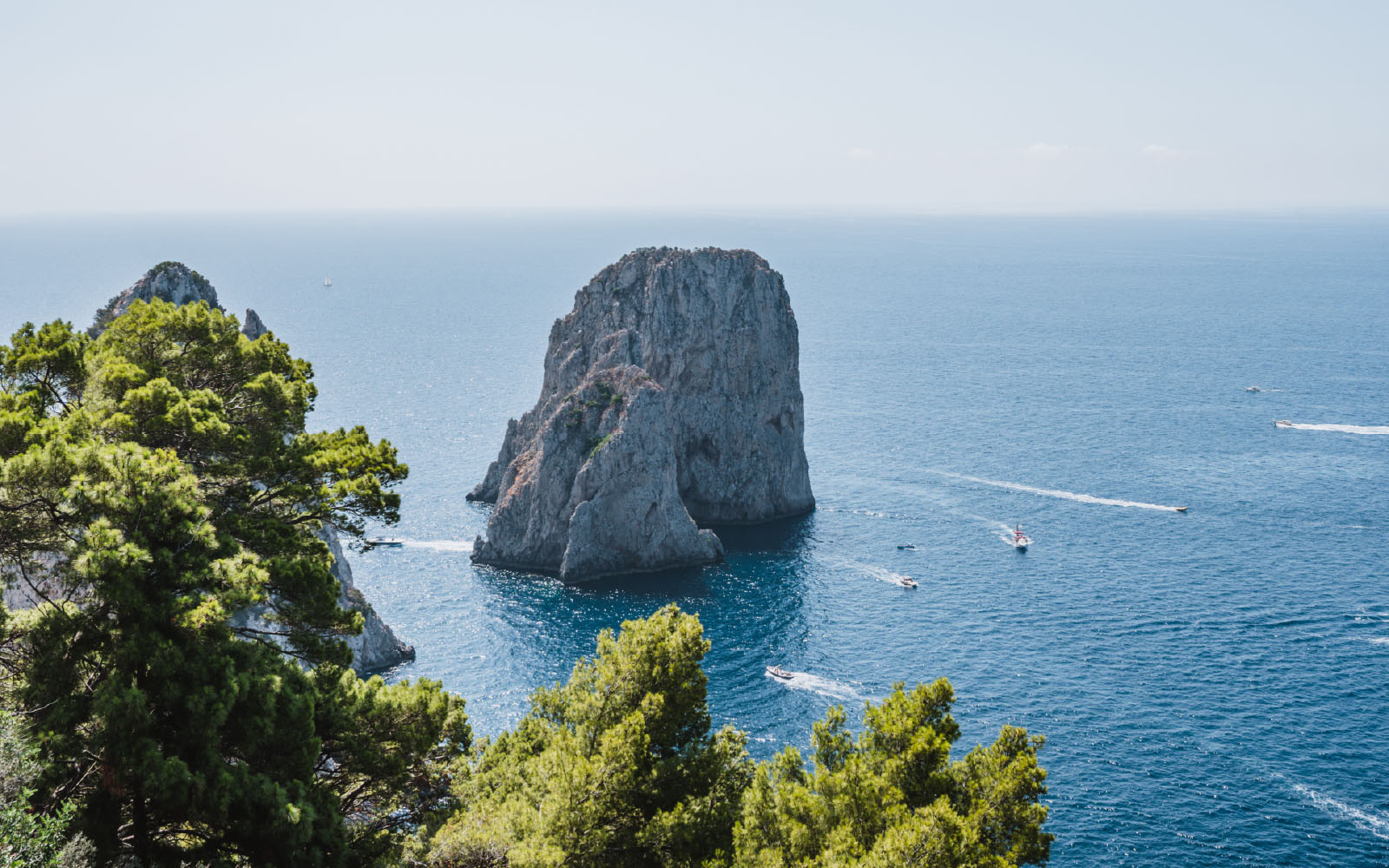 Cetrella Los Altos | Mediterranean-Rim and California Coastal Cuisine ...